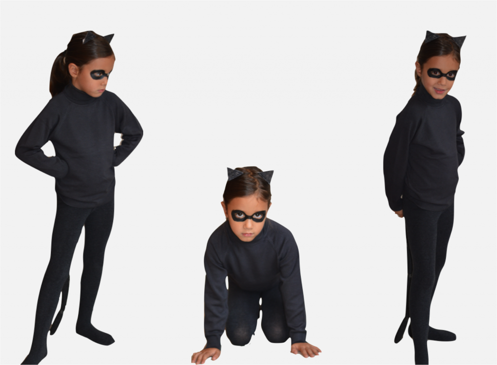 Happy Halloween and a DIY cat costume