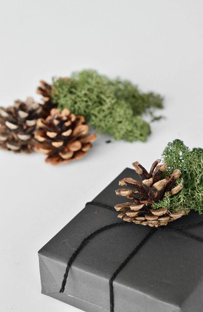 simple Christmas gift wrapping idea inspired by nature - DIY home decor ...